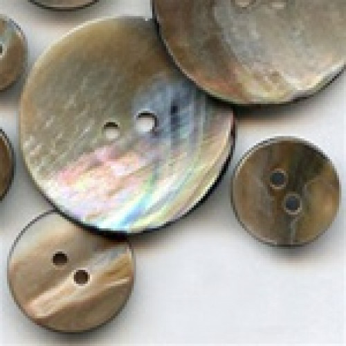 LBM-110 Light Brown Mussel Shell, 6 Sizes