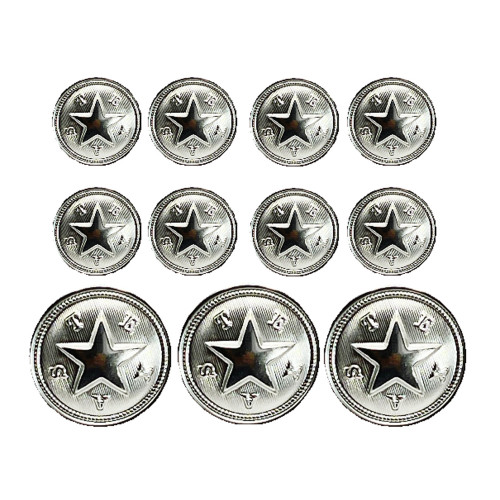 M-1921Set-Set of Silver Texas State Seal Button, 2 Sizes (8 sleeve size ...